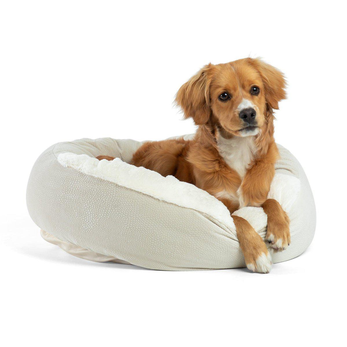 Cozy Cuddler Ilan Pet Bed - Standard | Best Friends by Sheri