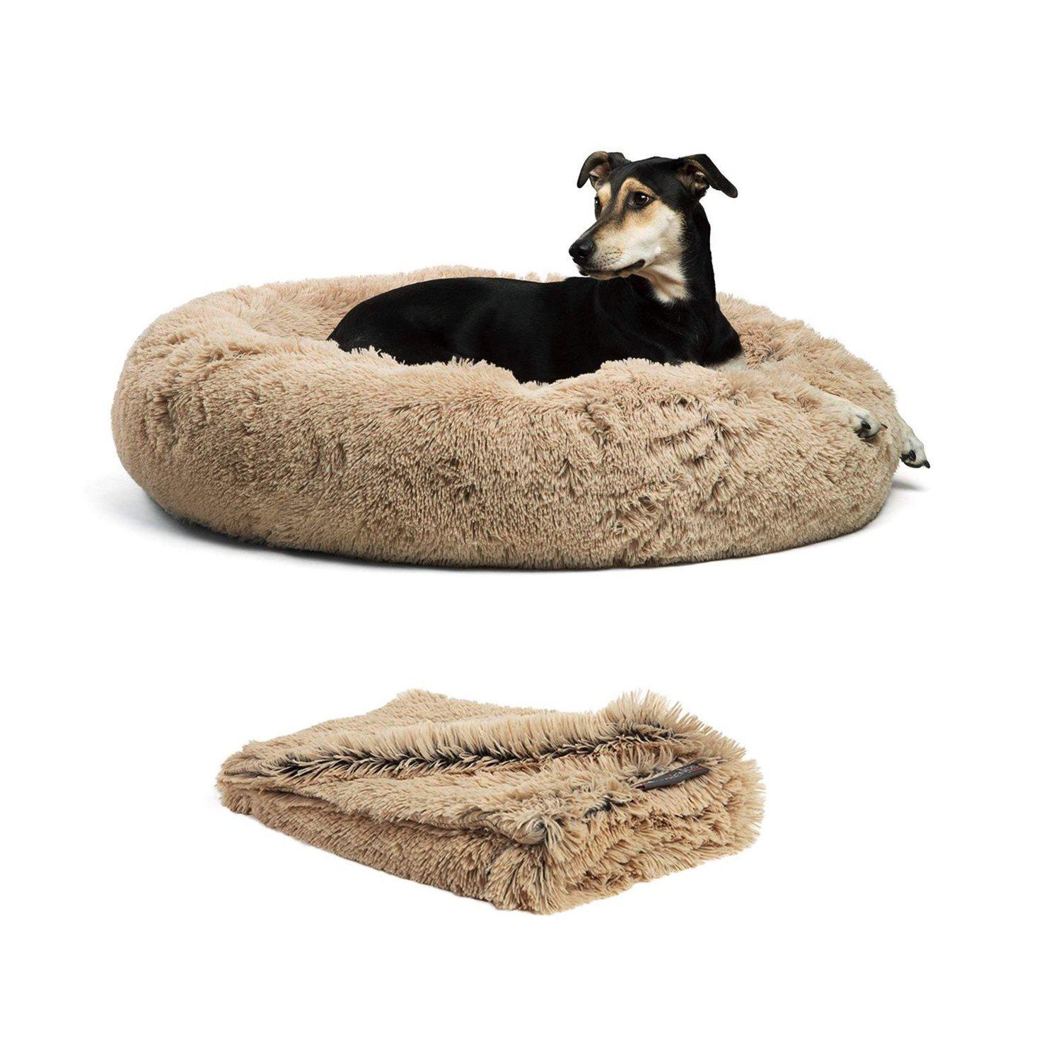 Calming Dog Beds for Better Health | Best Friends by Sheri